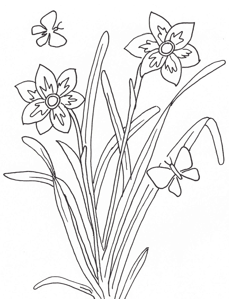 Dibujos de plantas para colorear. Dibujos de plantas infantiles para pintar Dibujos de plantas para colorear. Dibujos de plantas infantiles para pintar