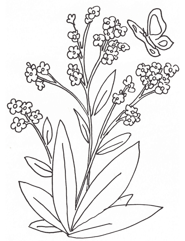 Dibujos de plantas para colorear. Dibujos de plantas infantiles para pintar Dibujos de plantas para colorear. Dibujos de plantas infantiles para pintar
